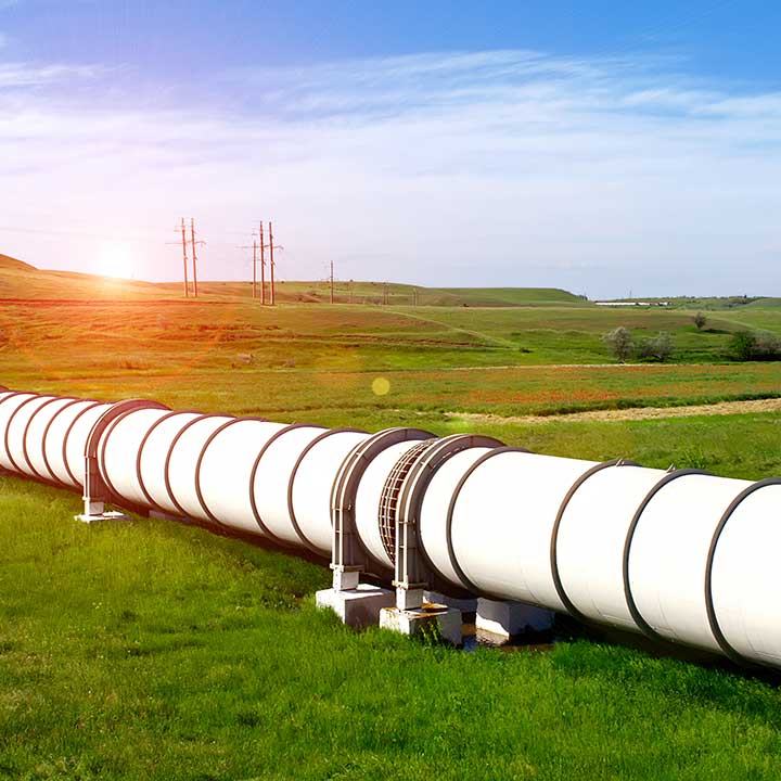 Taking Action - The Environmental Partnership