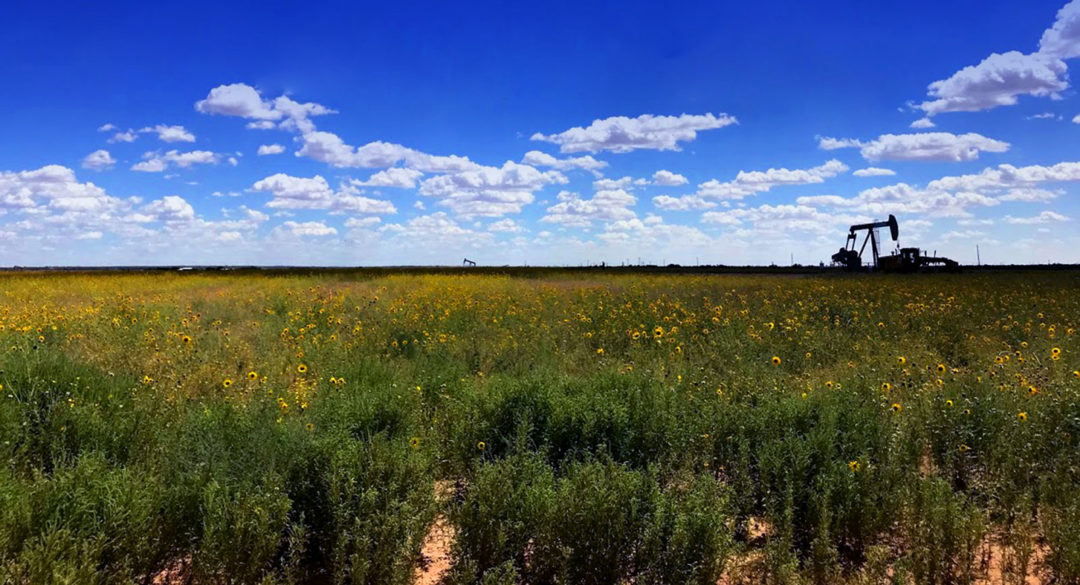 Annual Reports - The Environmental Partnership
